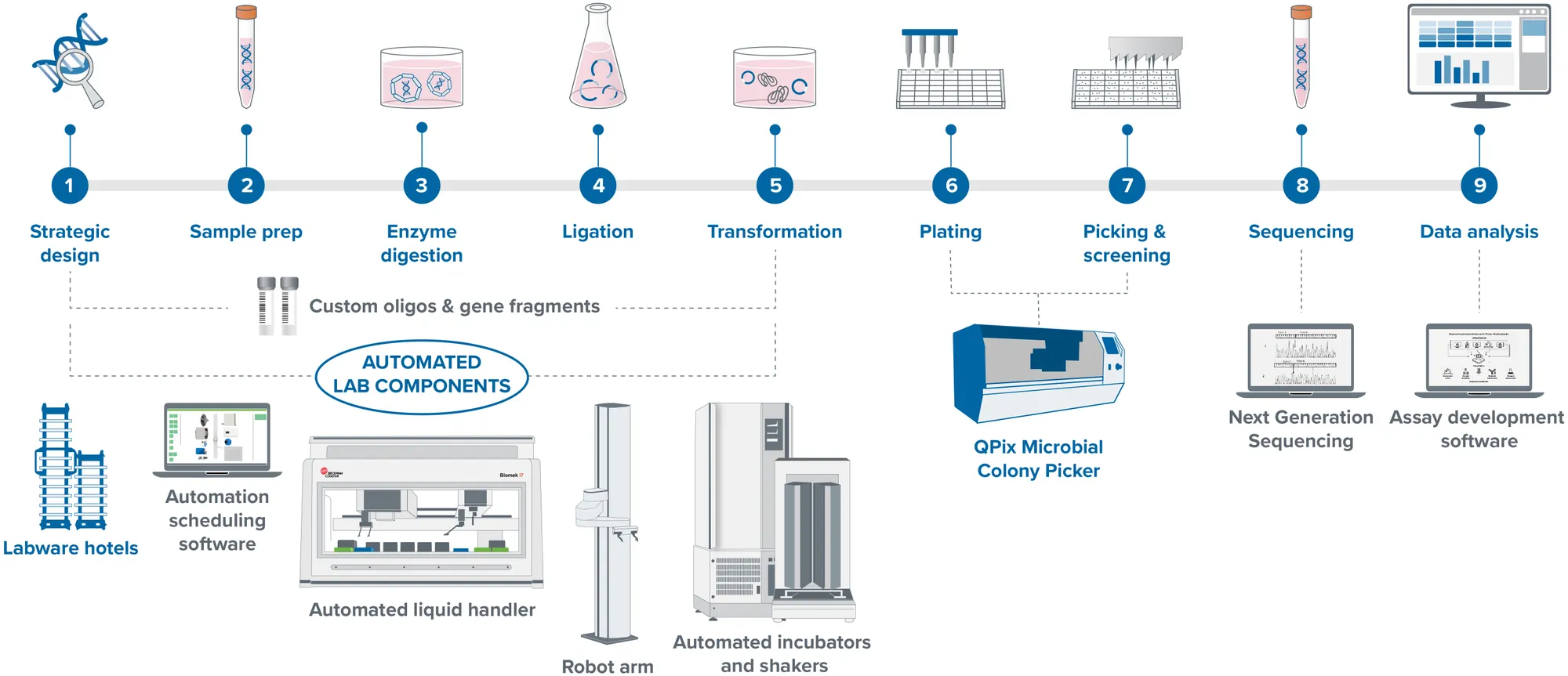 The all-new QPix XE Microbial Colony Picker